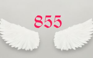 855 Angel Number | Ride the Waves of Transformation