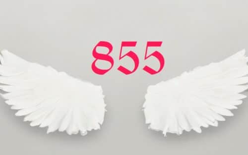 855 Angel Number | Ride the Waves of Transformation
