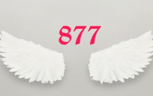 Angel Number 877: Uncover Its Spiritual and Personal Significance